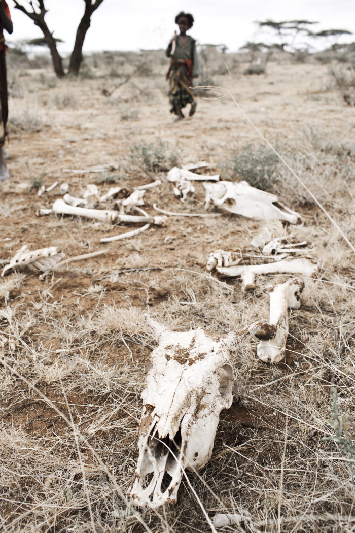 Svår torka i Afrika - akuta insatser krävs i Etiopien - Krokoms pastorat