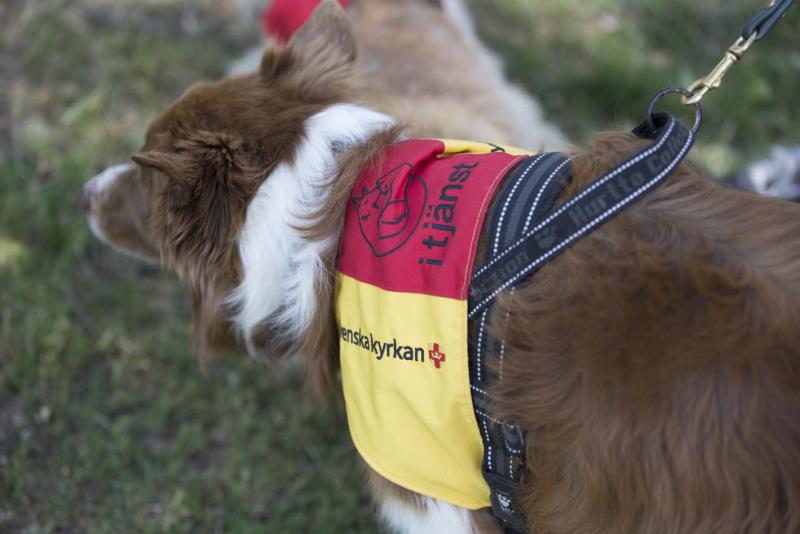 Omsorg utan ord i Årjäng - Karlstads stift