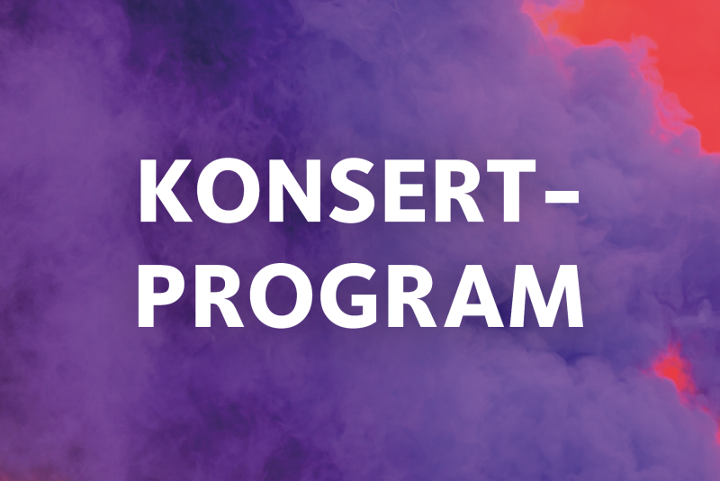 Gå på konsert - Tyresö församling