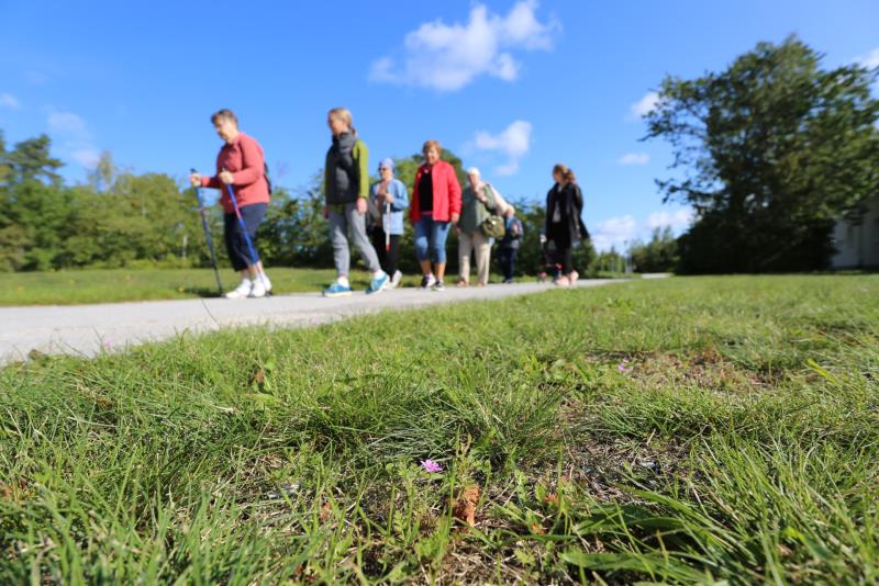Må bra-promenad - Visby domkyrkoförsamling