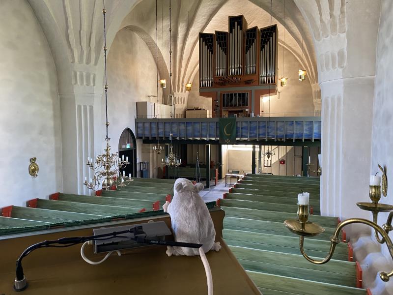 Aktiviteter för barn och familjer under sommaren - Kalix församling