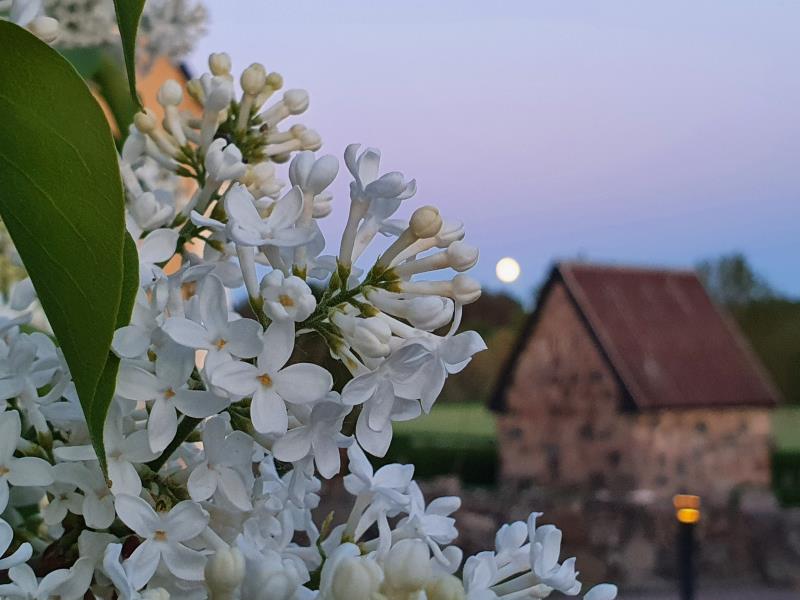 Reflexer - Balingsta pastorat