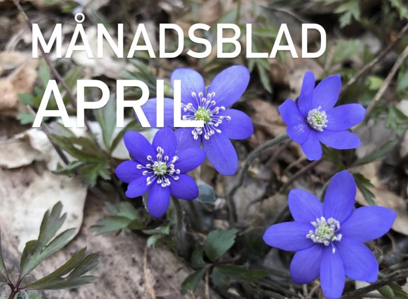 Månadsblad - Välkommen till Tranås pastorat!