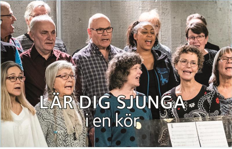 Lär dig sjunga i en kör - Luleå domkyrkoförsamling