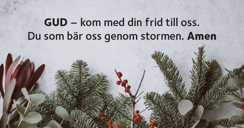 En fridfull jul önskar Laholms pastorat! - Laholms pastorat