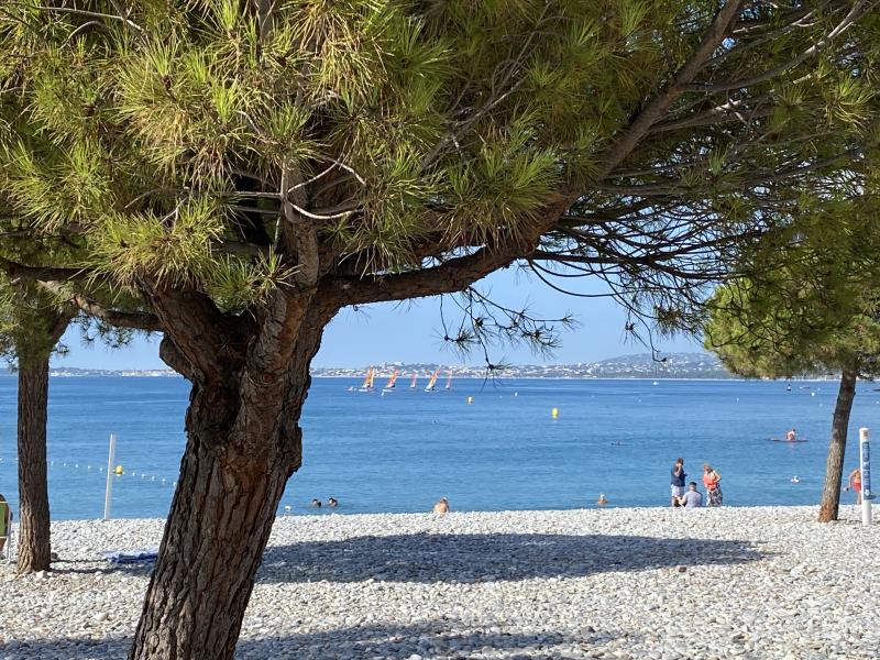 Destination Rivieran med antikrally 25 september - Svenska kyrkan i ...