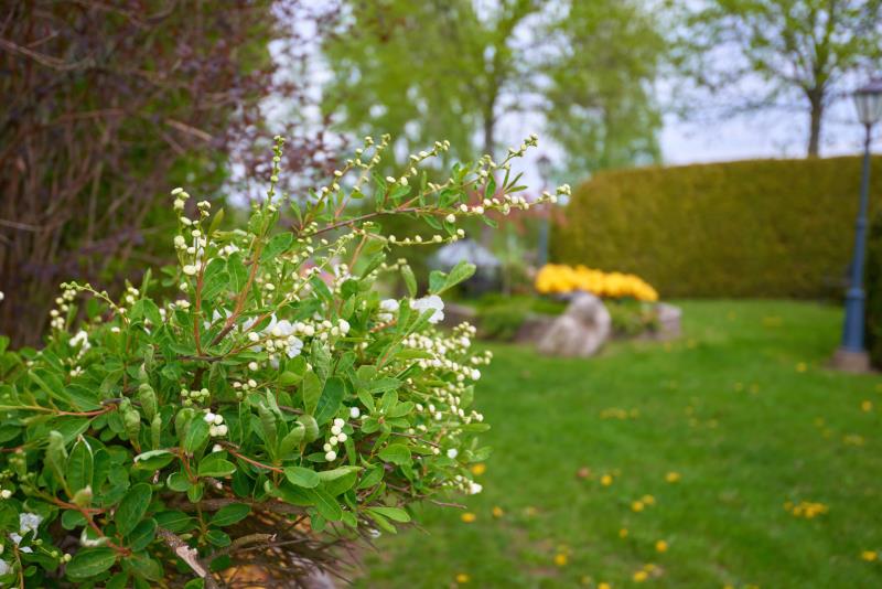 Andakt pingstdagen - Svenska kyrkan i Habo