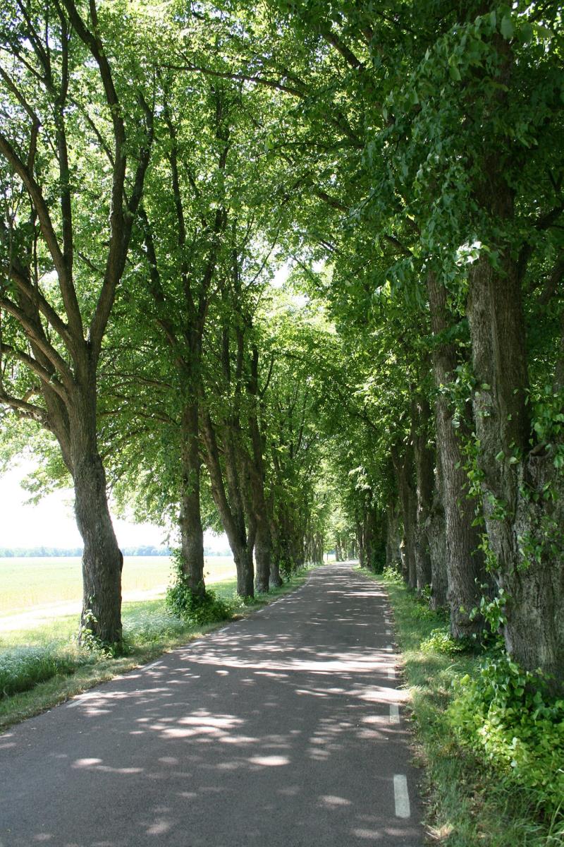 På gång i Stöde - Stöde församling